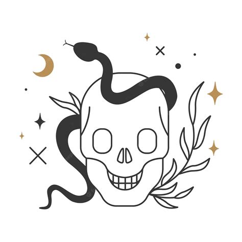 Premium Vector Skull Vector Illustration Isolated On White Background