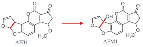 Microorganisms Free Full Text Detection Methods For Aflatoxin M1 In