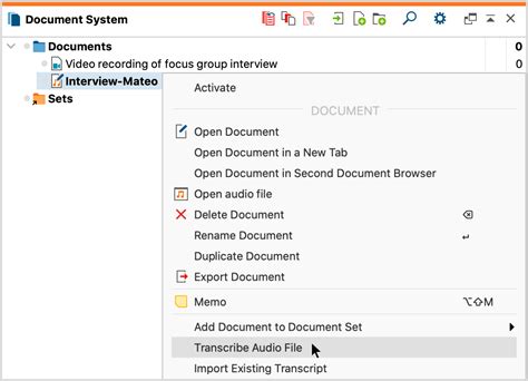 maxqda 2022 online manual transcribe audio and video files maxqda