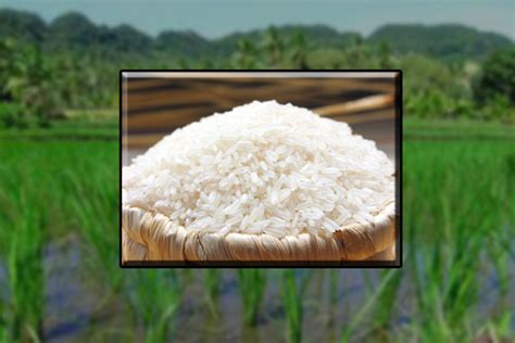 Philippines Says To Import Rice In January Markets Business Recorder