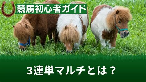 競馬の払い戻し計算方法とは？役立つアプリやサイトのツールも伝授【馬券ごとに解説】 馬の達人