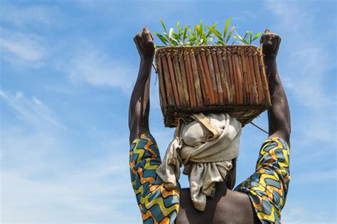 International Day Of Rural Women 2022 Newsletter Cgiar Gender Impact