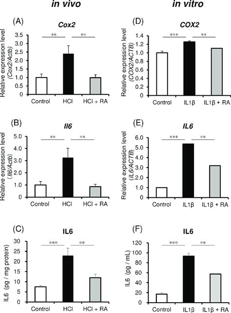 Effect Of Ra On The Expression Of Inflammatory Molecules Relative Mrna