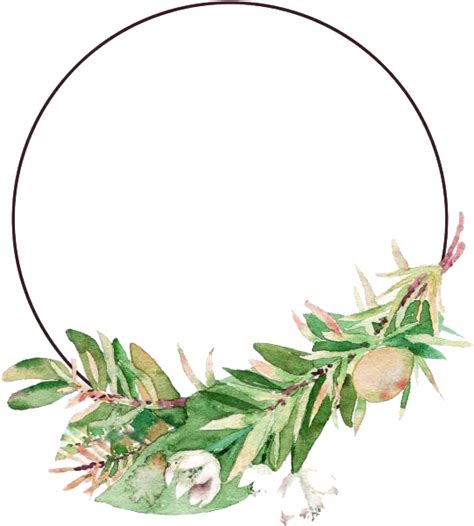 Leaf Frame Png Images [100 ]