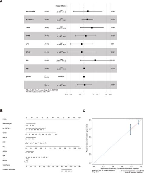 Constructing A Cerna Immunoregulatory Network Associated With The
