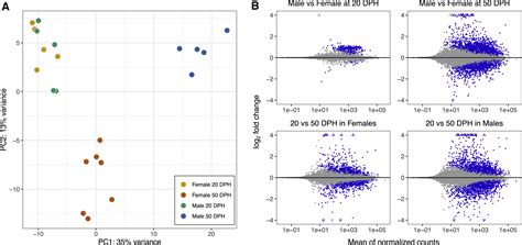 Emergence Of Sex Specific Transcriptomes In A Sexually Dimorphic Brain