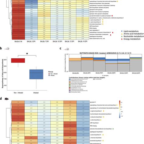 Functional Analysis From Metagenomic Data The Main Results Were