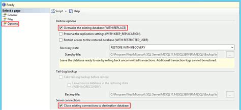 restoring the sql server database