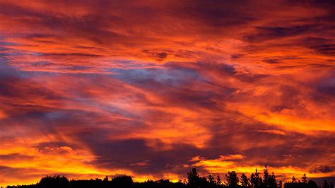 Sunset Sky Trees Bushes Clouds 4k Hd Wallpapers Hd Wallpapers Id 32393