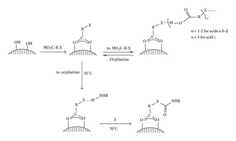 Schematic Representation Of The Reaction Of Carboxylic Acids With
