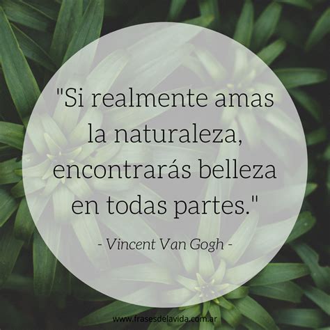 Amor Por La Naturaleza Frases De La Vida