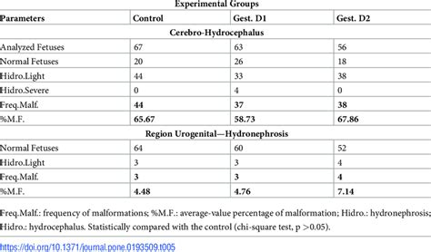Relationship And Frequency Of Visceral Malformations In The Offspring