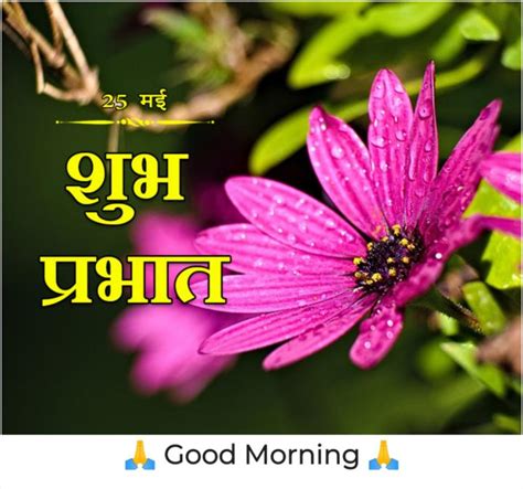 Good Morning 🌄 Dil Se ️ ️💕💕💓💓 • Sharechat Photos And Videos