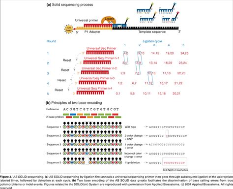 Figure 3 From The Impact Of Next Generation Sequencing Technology On