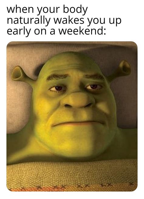 When Your Body Naturally Wakes You Up On A Wee Memegine