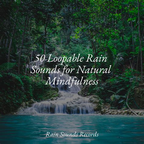 50 Loopable Rain Sounds For Natural Mindfulness Relaxing Mindfulness