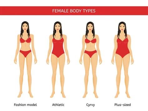 Female Body Types Chart