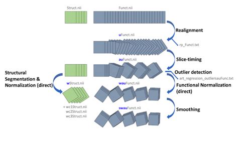 schematic illustration of default minimal preprocessing pipeline in