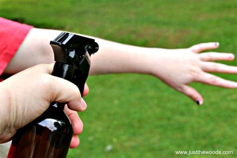 How To Make Diy Bug Repellent Spray To Keep The Bugs Away