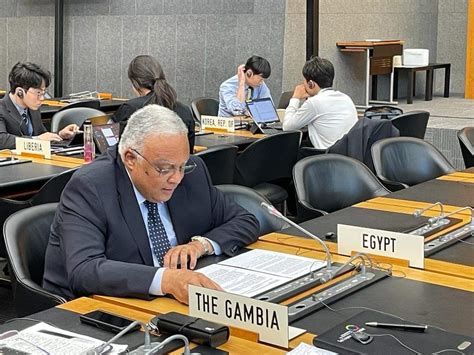 مندوب مصر بالأمم المتحدة بجنيف يشارك في اجتماعات مراجعة السياسة
