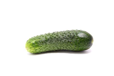 Cucumber In A Condom Stock Image Image Of Phallic Condom 8507449
