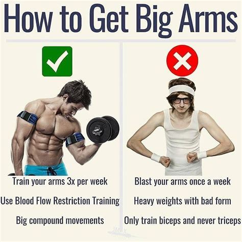 🔥how To Get Big Arms🔥 📷 Workout Important Bigger Arms Get Bigger
