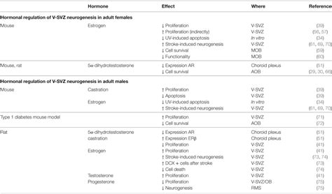Frontiers Sex Steroids And Adult Neurogenesis In The Ventricular
