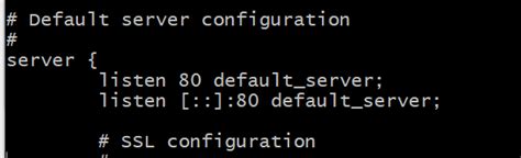 using nginx to serve core nodejs or static contents
