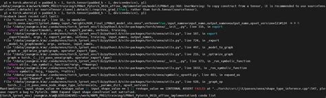 pytorch onnx problem · issue 3825 · onnx onnx · github