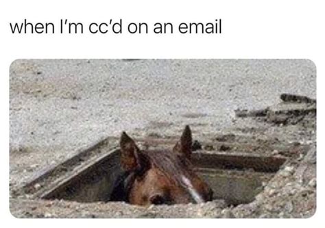 When Im Ccd On An Email Ifunny