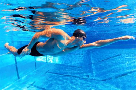 Freestyle Stroke Overview And Swimming Technique