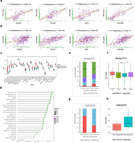 Exploring The Role Of The Risk Score In Immune Related Signatures A B