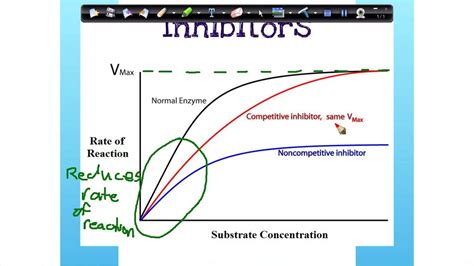 How To Read An Enzyme Graph