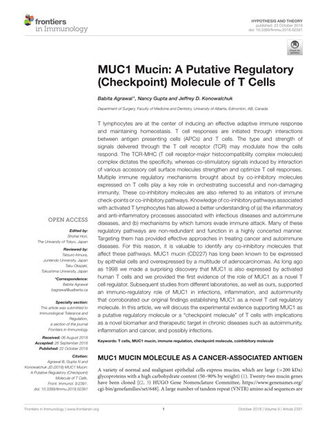 Pdf Muc1 Mucin A Putative Regulatory Checkpoint Molecule Of T Cells