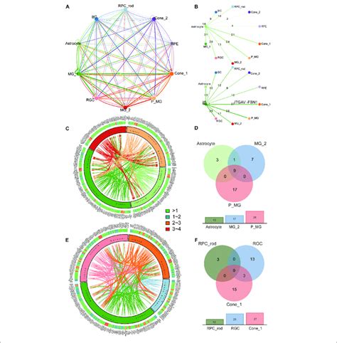 Analysis Of The Cross Cluster And Intercellular Communication Network