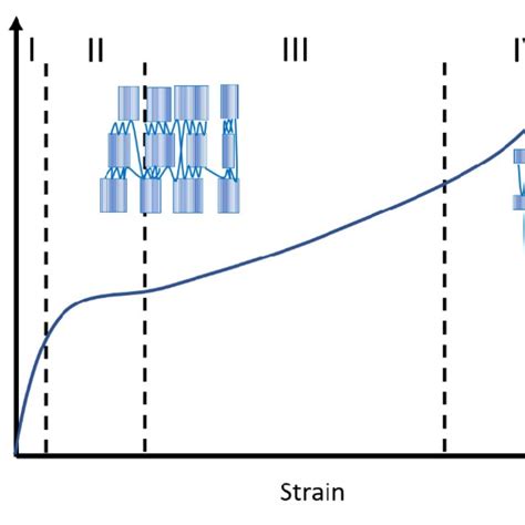 Schematic Representation Of The Evolution Of Uhmwpe Microstructure In