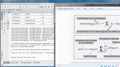 decision trees w python project 02 generate and use rules