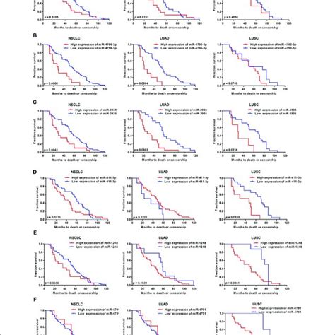 Km Survival Curve And Log Rank Test For Patients With Six Mirnas High