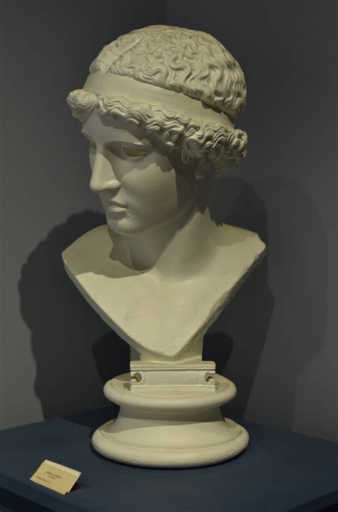 athena lemnia · wilcox classical museum