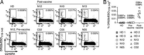 Monitoring Of Ny Eso 1 Specific Cd4 T Cells Using Molecularly Defined