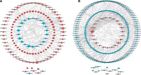 Frontiers Bioinformatics Based Analysis Of The Lncrna Mirna Mrna