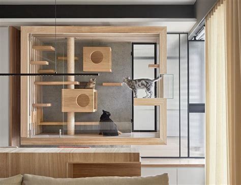 Room For Cat Modern Cat Furniture Cat Enclosure Cat Cages