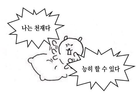 시험 수능아님 앞둔 쓰니의 농담곰짤 모음 인스티즈 Instiz 일상 카테고리
