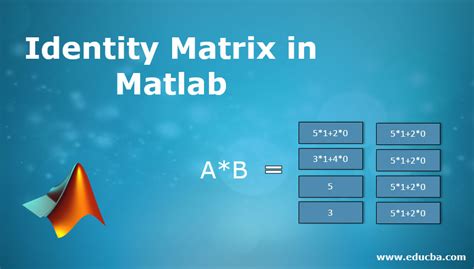 identity matrix in matlab working and examples of identity matrix in matlab