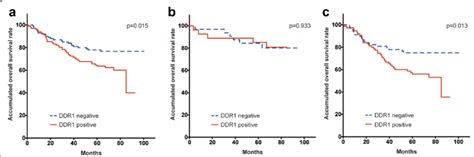 Overall Survival Of Gastric Cancer Patients With Positive Or Negative