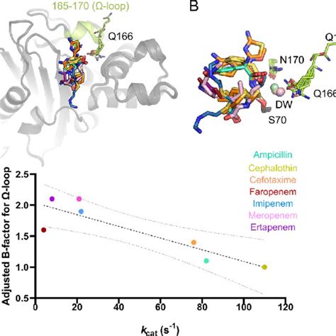 B Factors Of The Kpc 2 Ω Loop For β Lactam Acyl Enzyme Complex