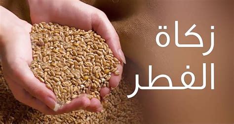 مقدار زكاة الفطر 2023 وموعد إخراجها البيت نيوز
