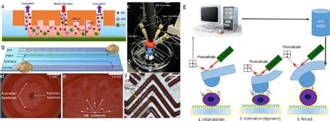 The Herringbone Microfluidic Probe Hb Mfp For Ctc Capture And Afm