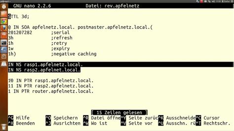 bind dns server auf raspberry linux ubuntu installieren benisnous