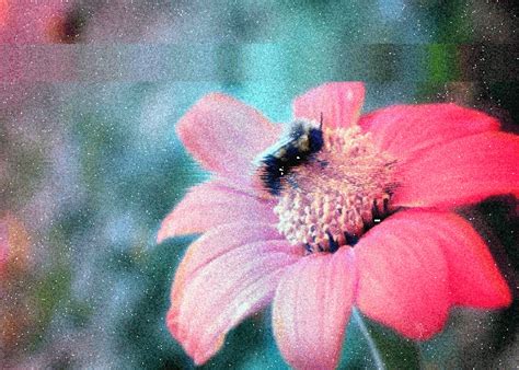 the rise of shaders filters and effects in web projects